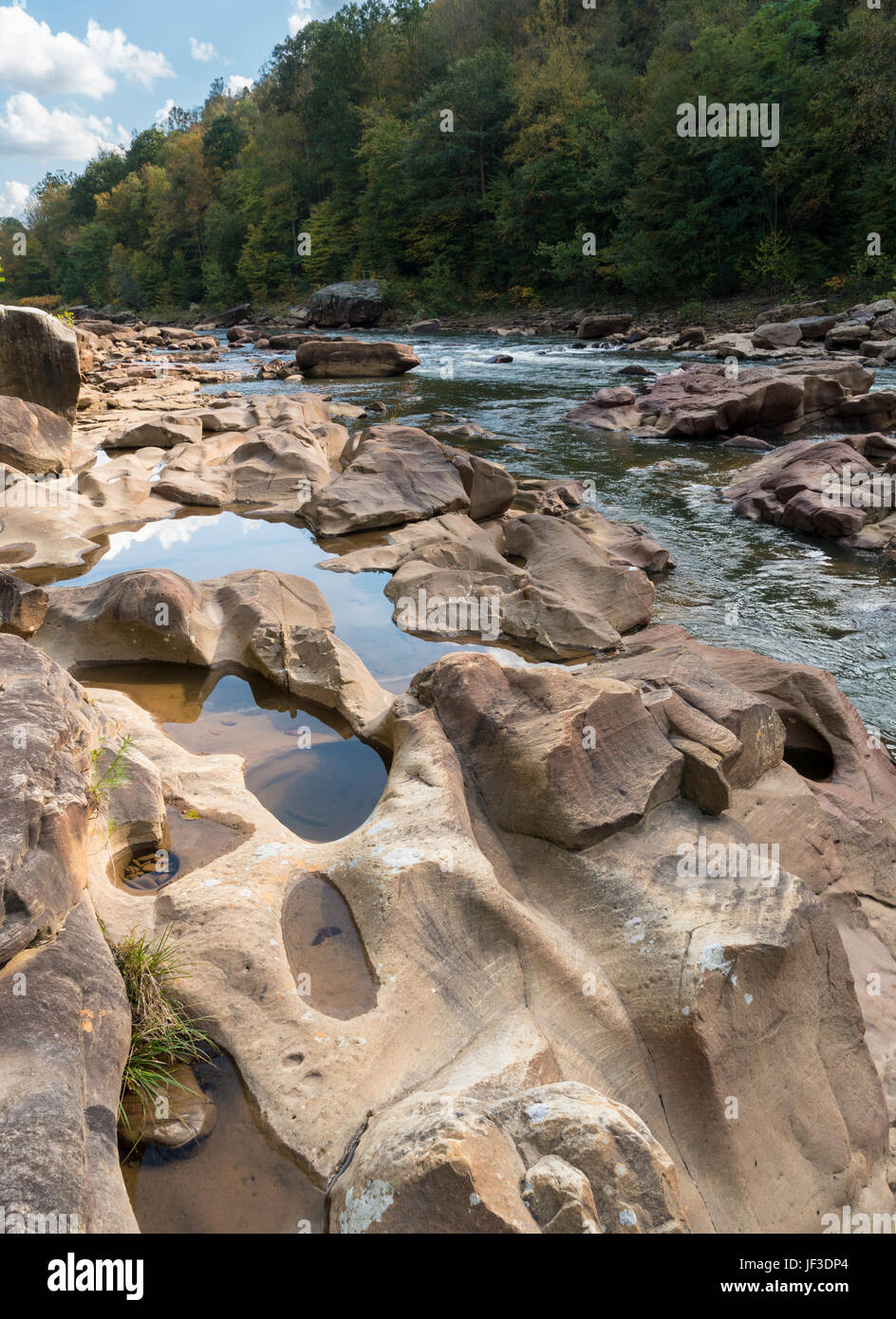 Cheat river west virginia hi-res stock photography and images - Alamy