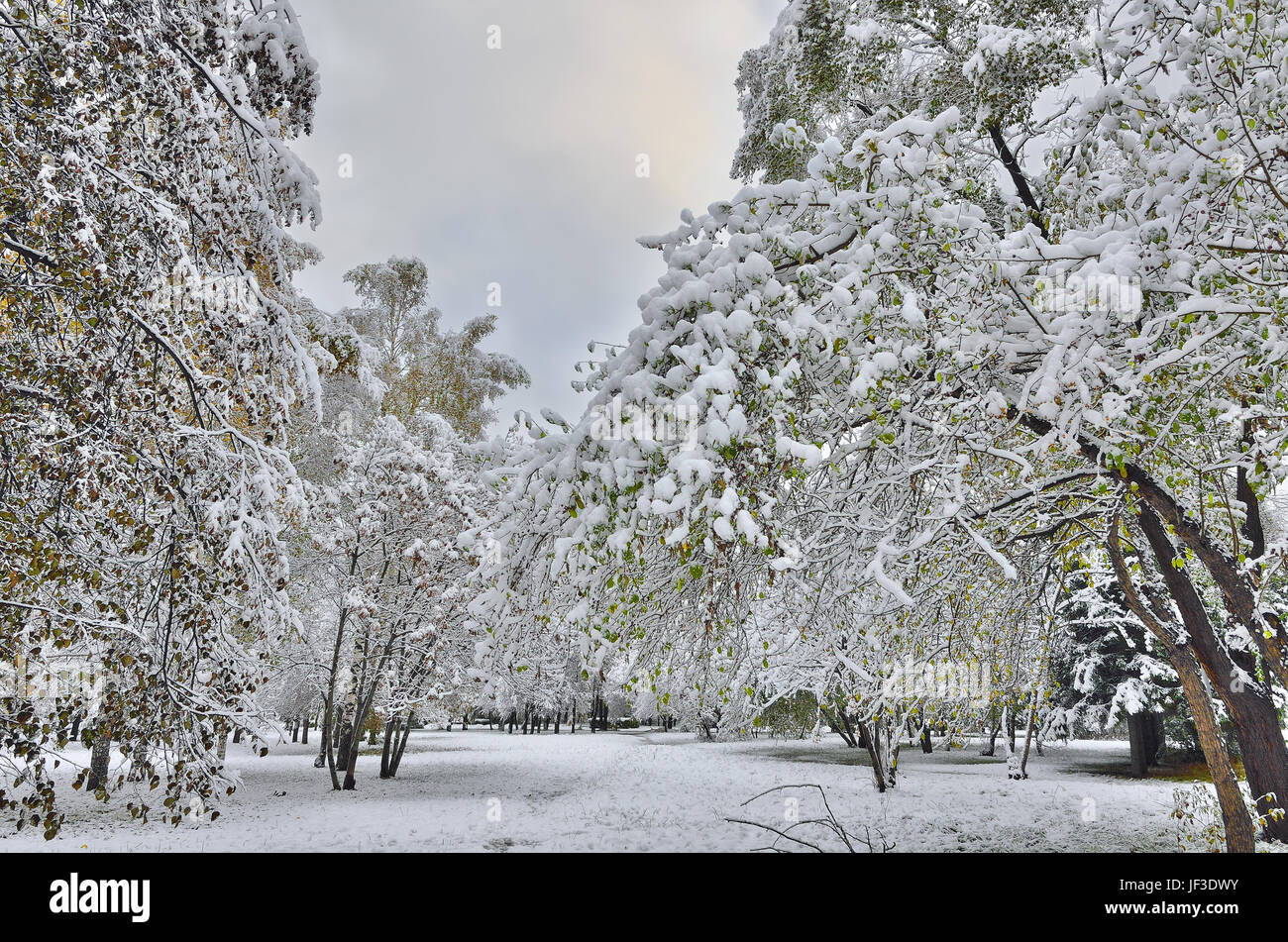 First park hi-res stock photography and images - Alamy