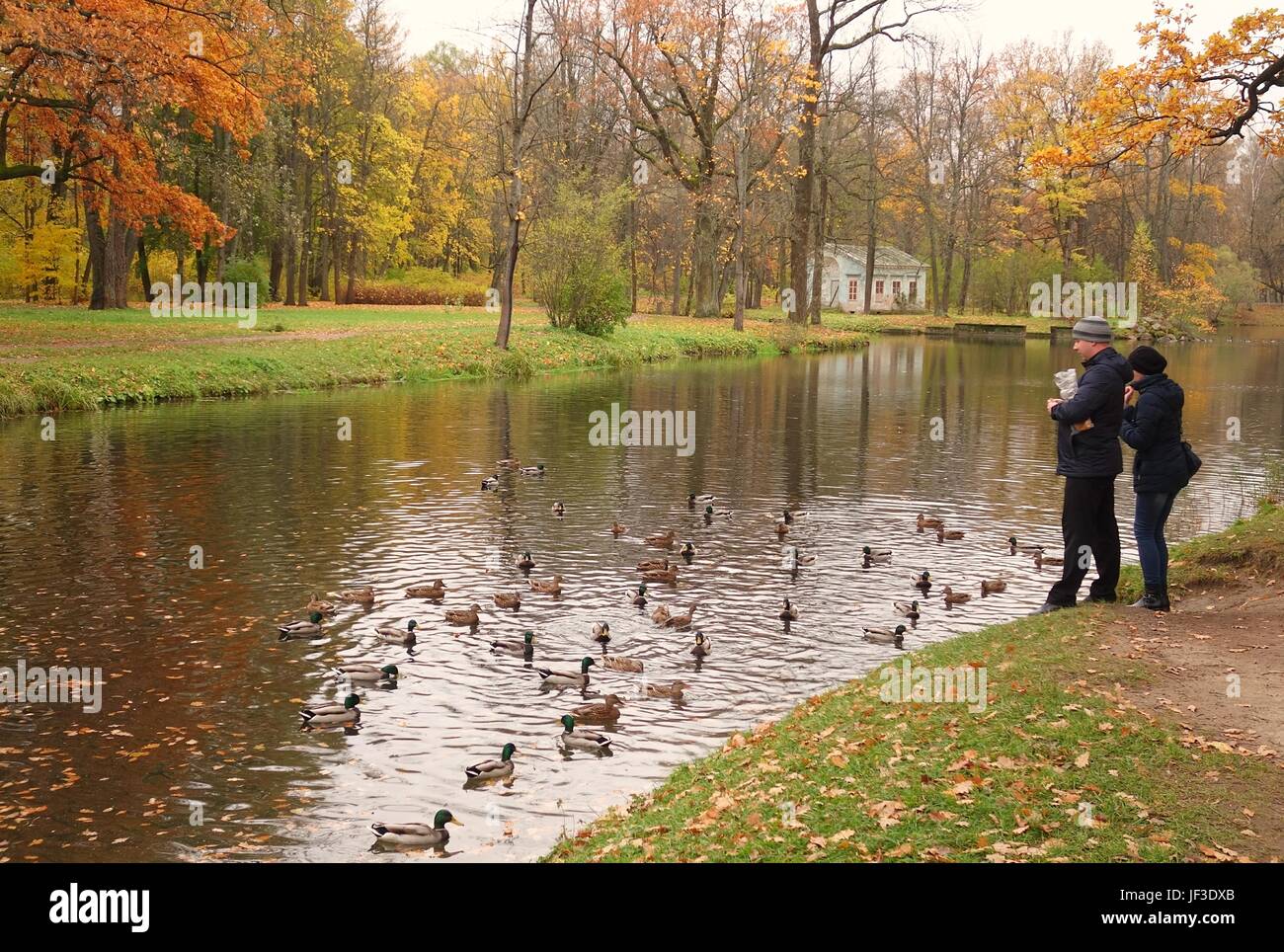 Sad landscape hi-res stock photography and images - Alamy