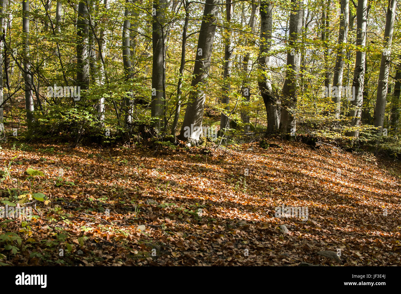 Rest tourists hi-res stock photography and images - Alamy