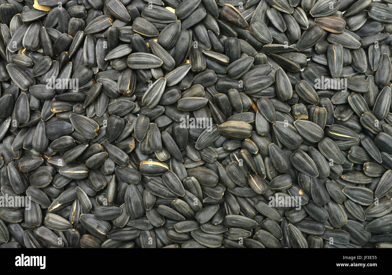 sunflower seeds texture Stock Photo - Alamy