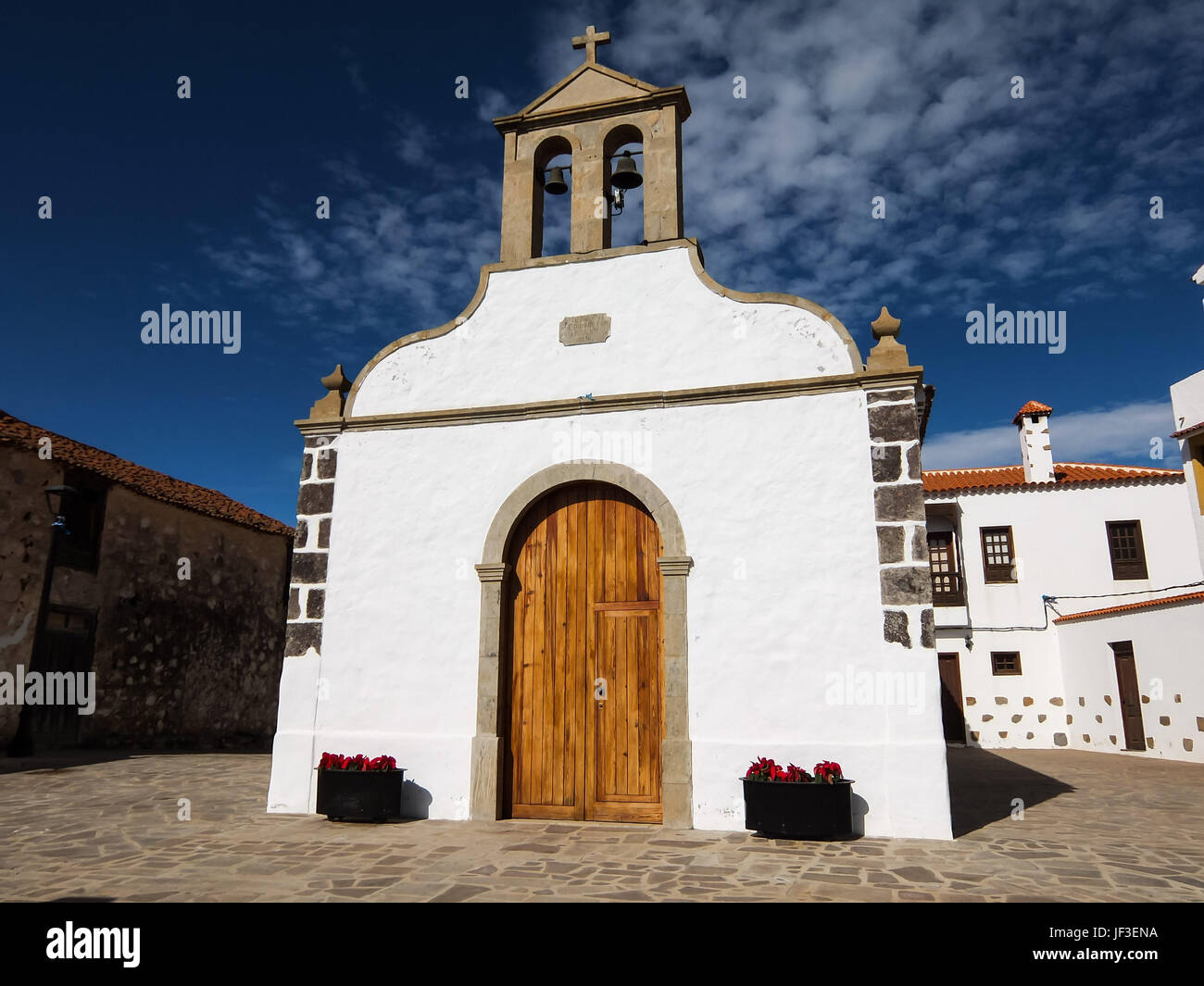 Agave Cactus Plant Blooming Stock Photo - Alamy