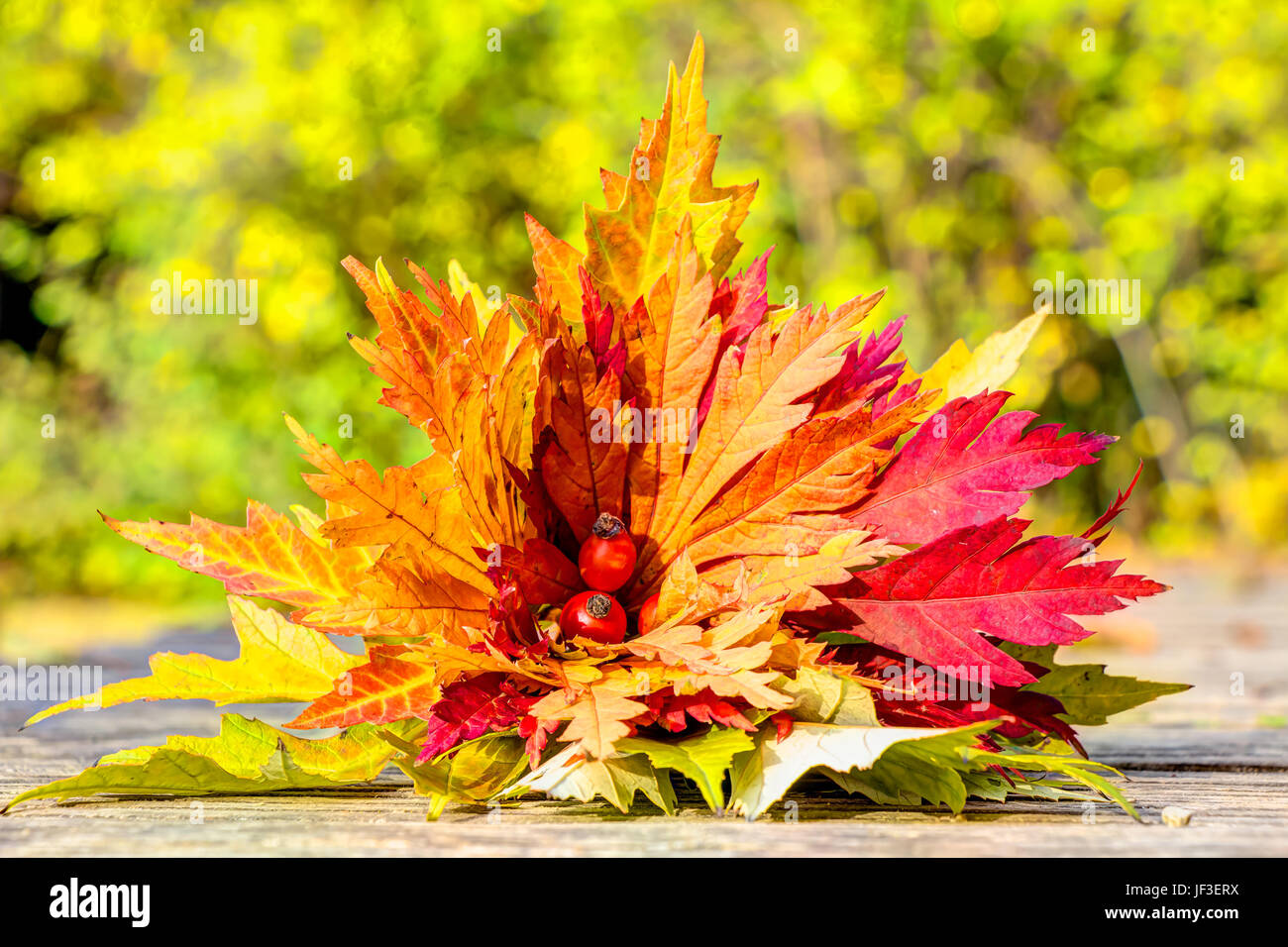 Colorful autumn leaves Stock Photo - Alamy