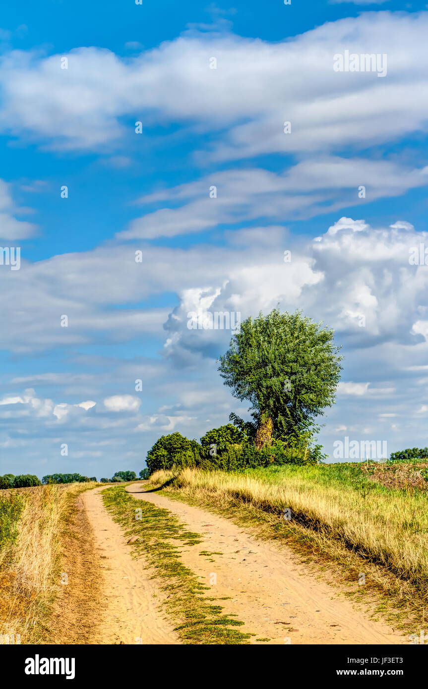 Way in summer Stock Photo - Alamy