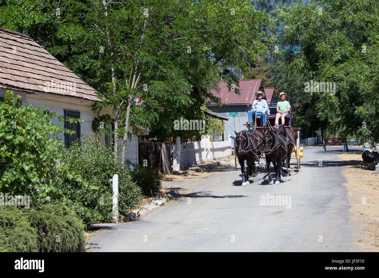 California wild horse hi-res stock photography and images - Alamy