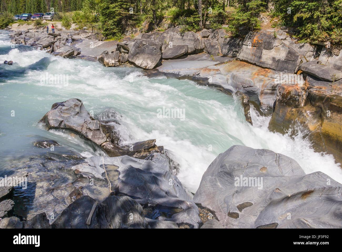 Rapids and waterfall on Numa Creek, in Kootenay National Park, British ...