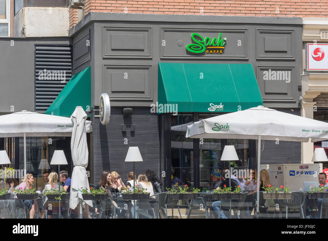 Chatzy Sachi Of Immortals