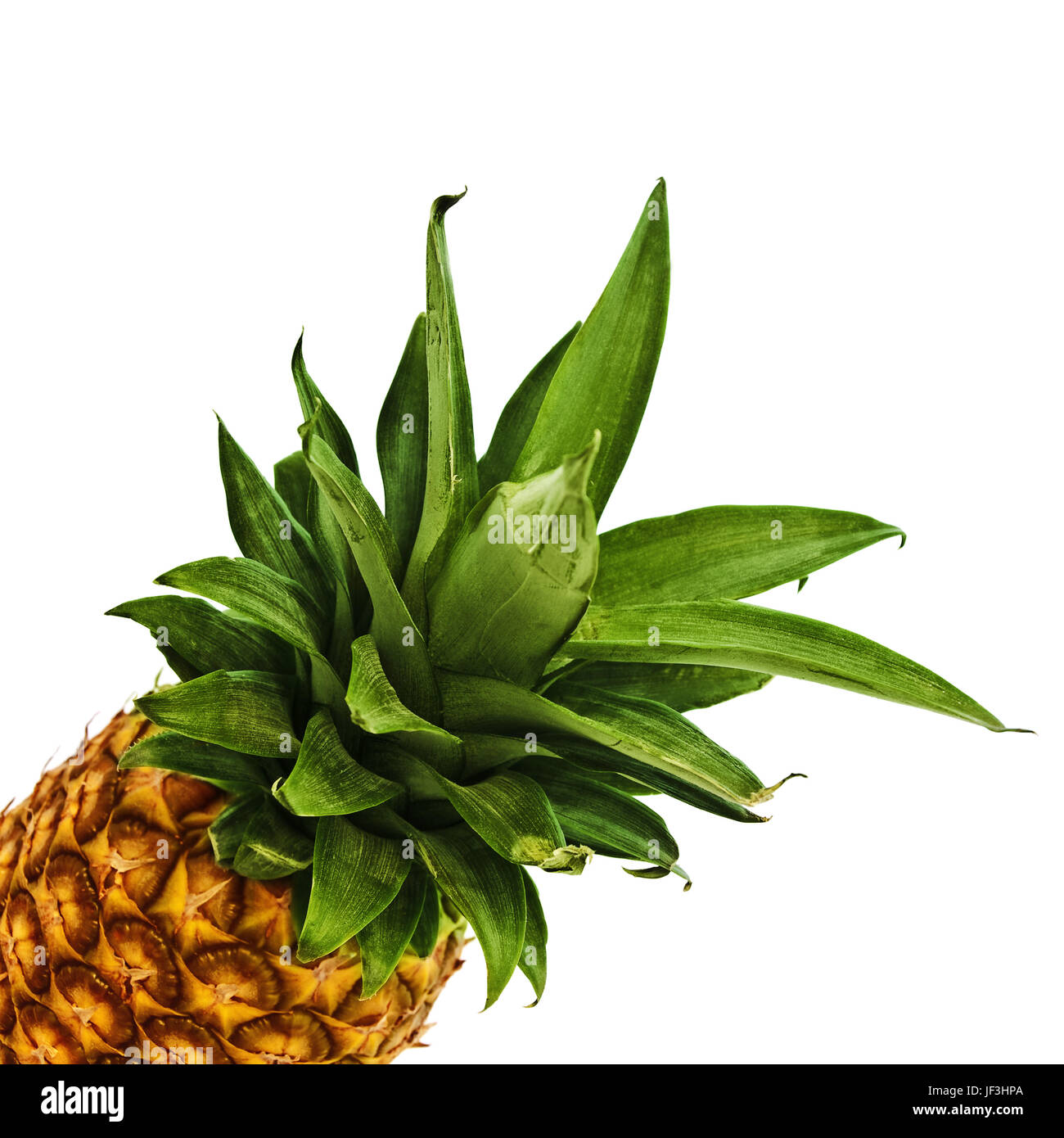 Ripe and luscious hi-res stock photography and images - Alamy