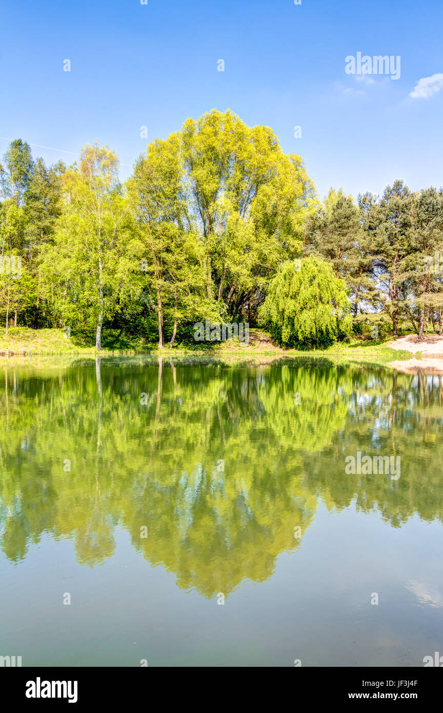Sea with trees Stock Photo - Alamy