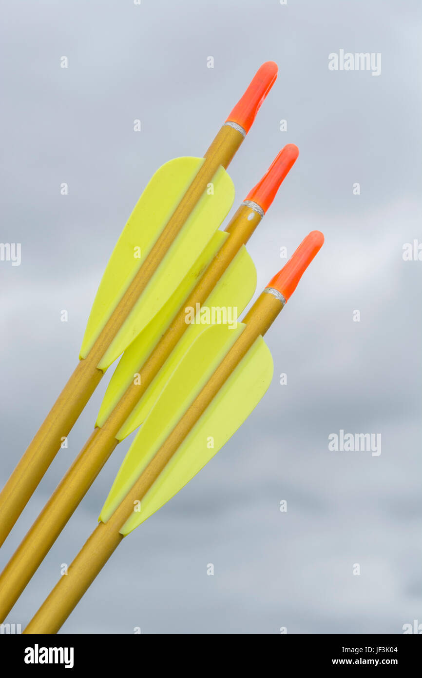 Fletching High Resolution Stock Photography and Images - Alamy