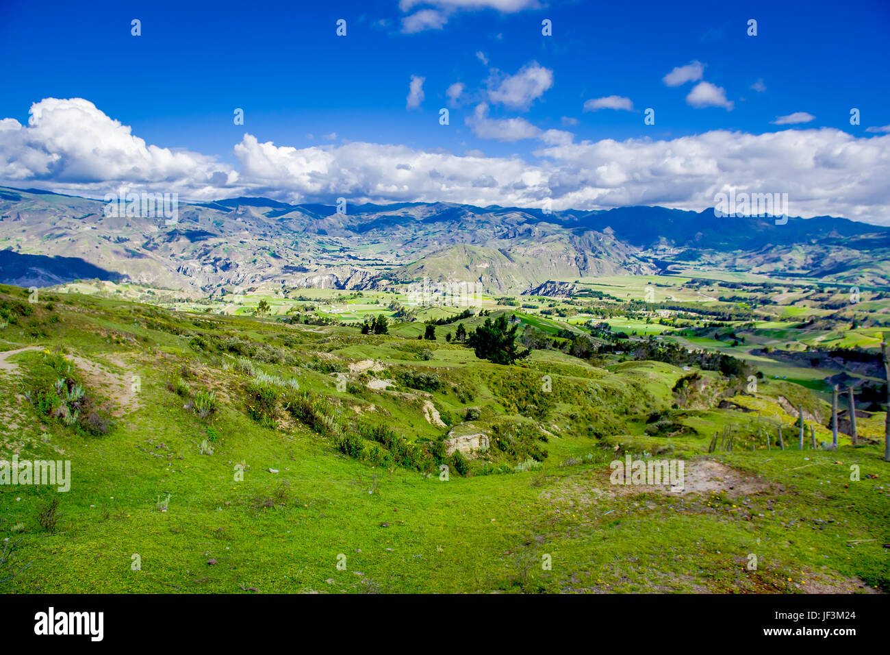 Equatorial forest panoramic High Resolution Stock Photography and ...