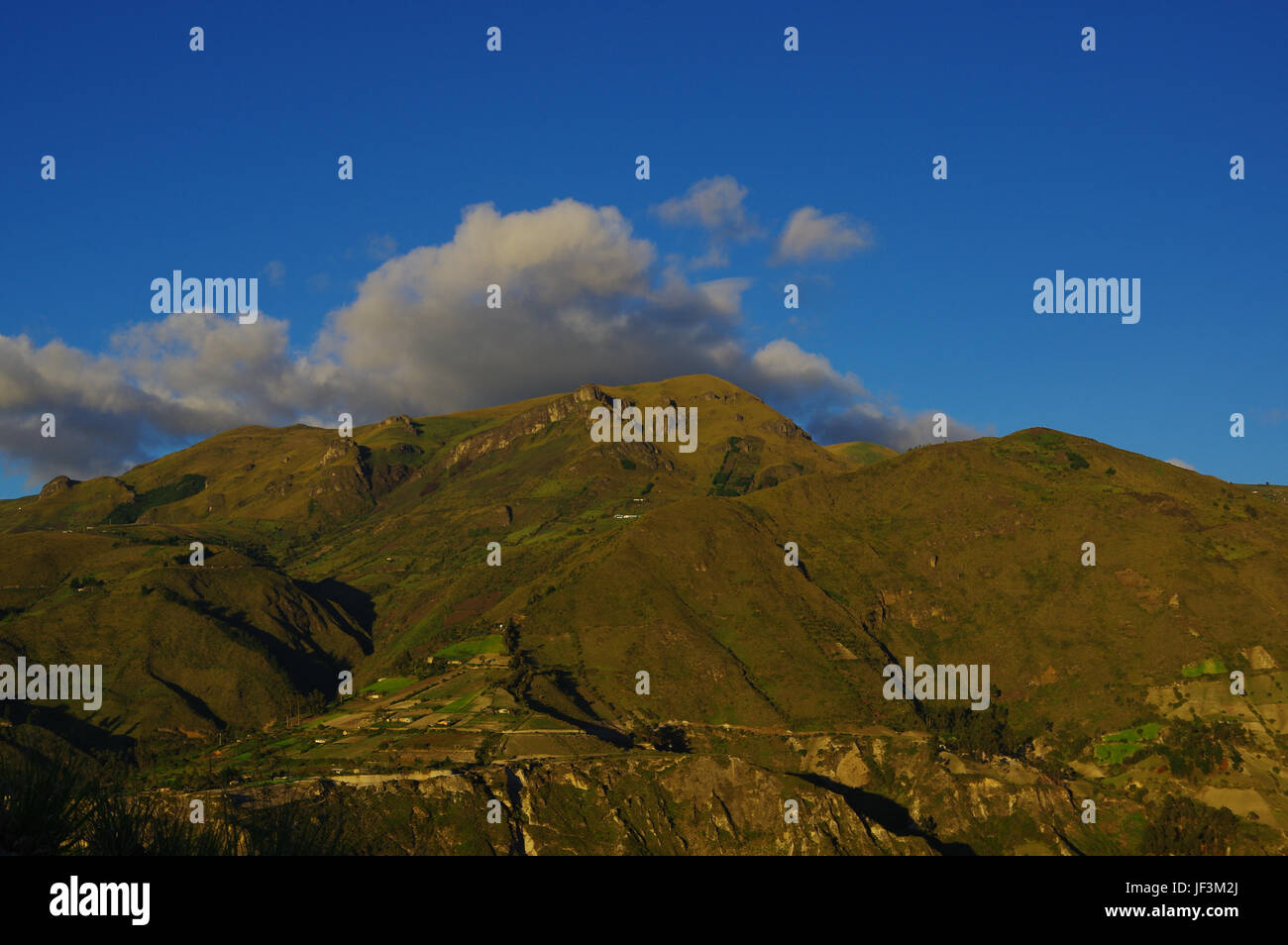 Equatorial forest panoramic High Resolution Stock Photography and ...