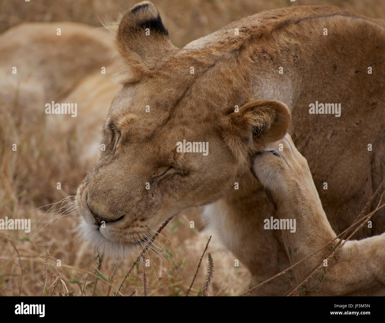 Scratch Game Stock Photos & Scratch Game Stock Images - Alamy