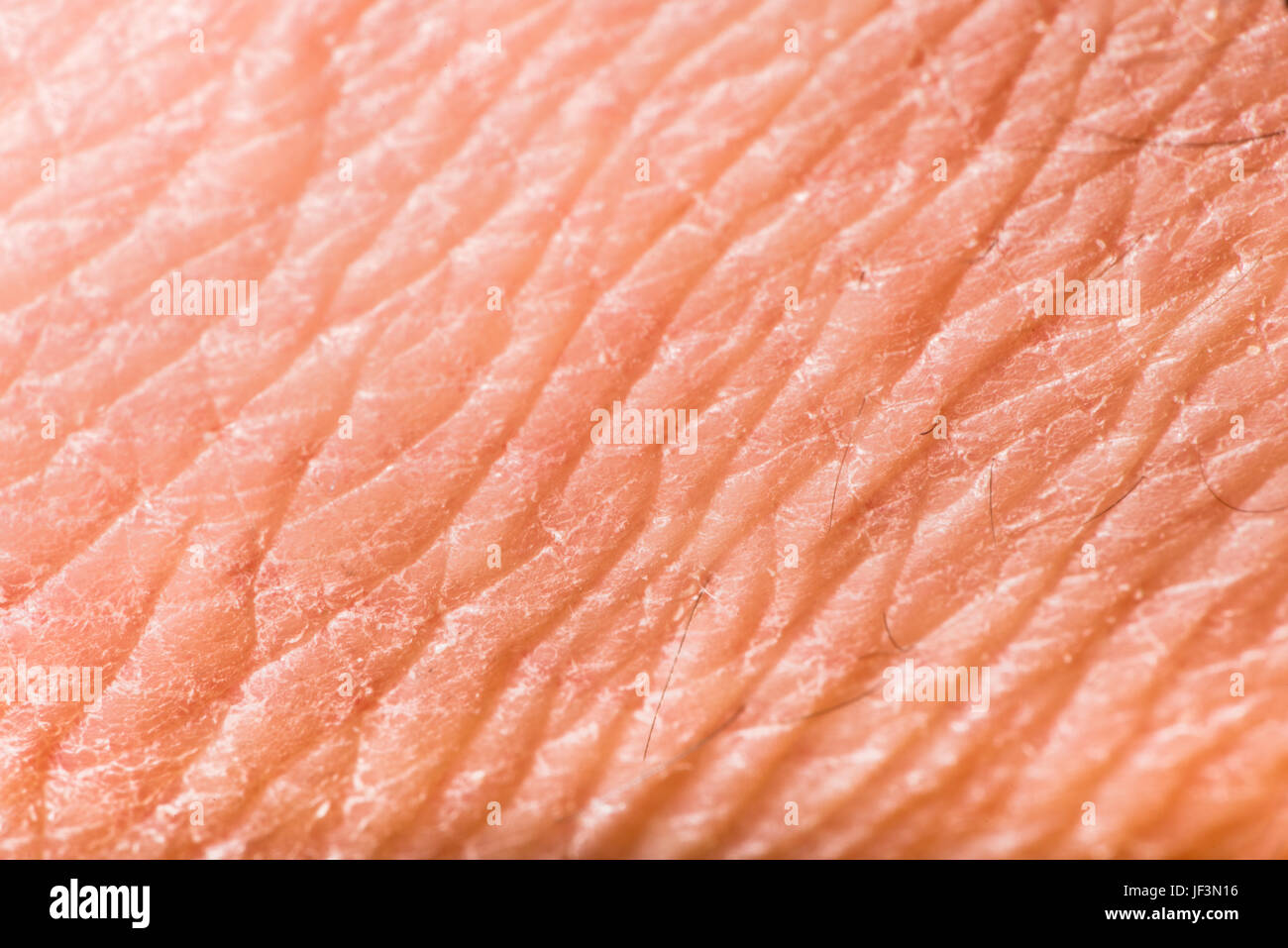 Texture of human skin Stock Photo - Alamy