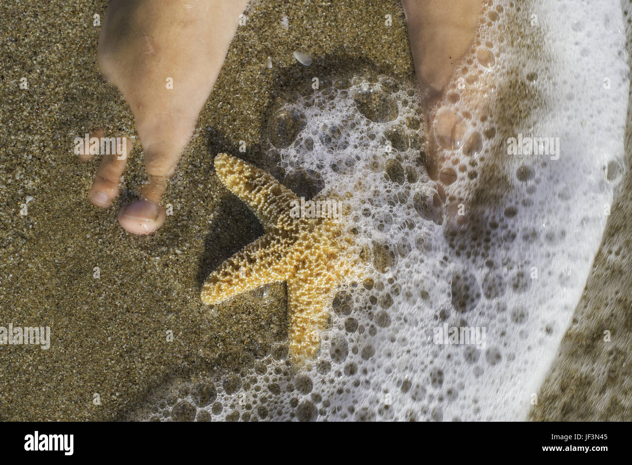 Starfish and feet on the beach Stock Photo - Alamy