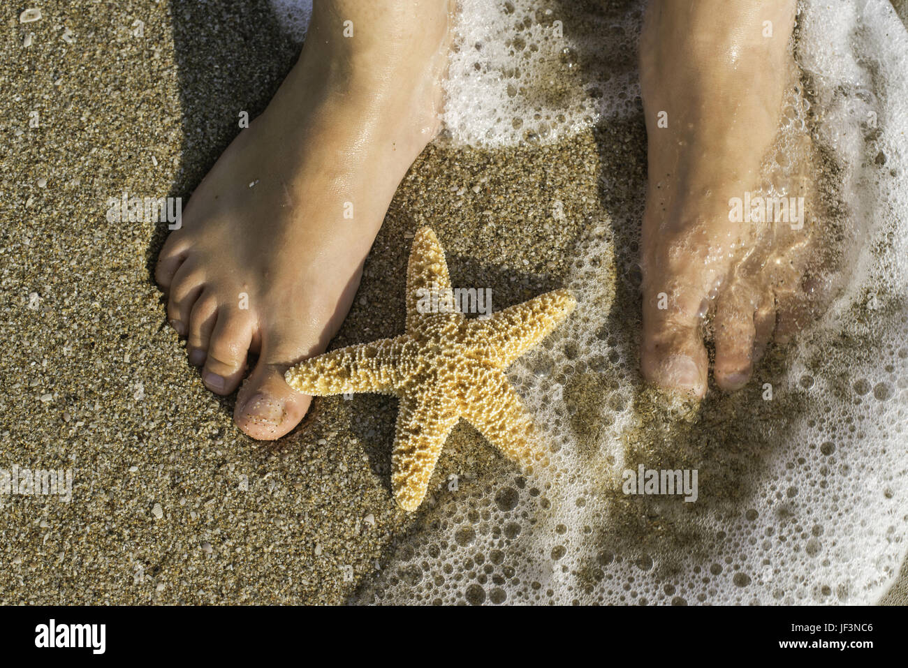 Starfish Feet Sand High Resolution Stock Photography and Images - Alamy