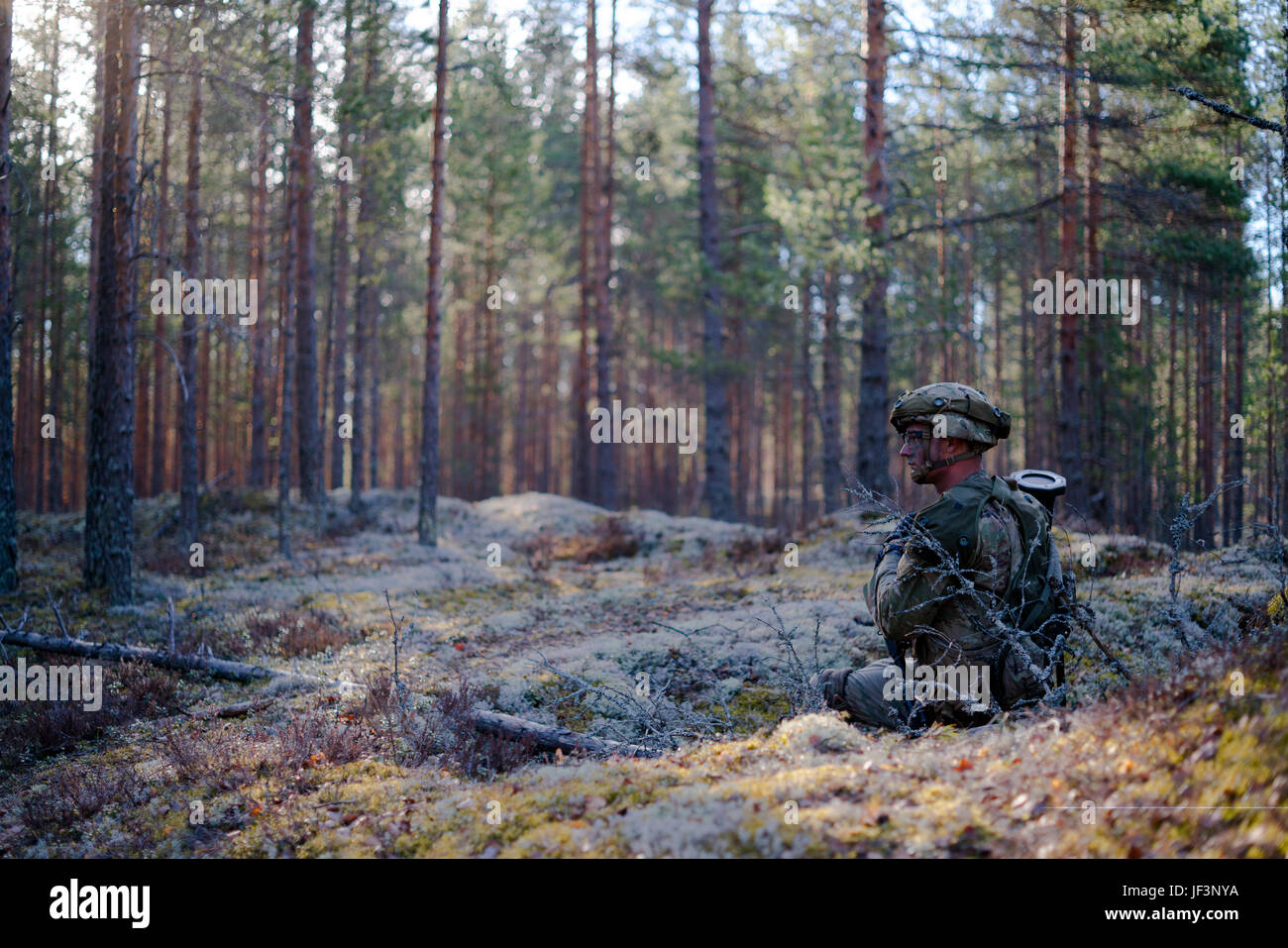 A U.S. Soldier of Apache Troop, 1st Squadron, 2nd Cavalry Regiment ...