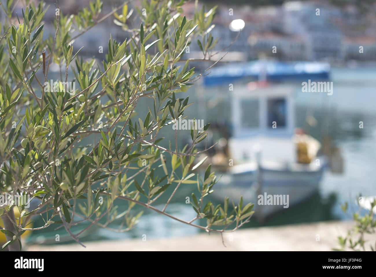 The olive branch ship hi-res stock photography and images - Alamy