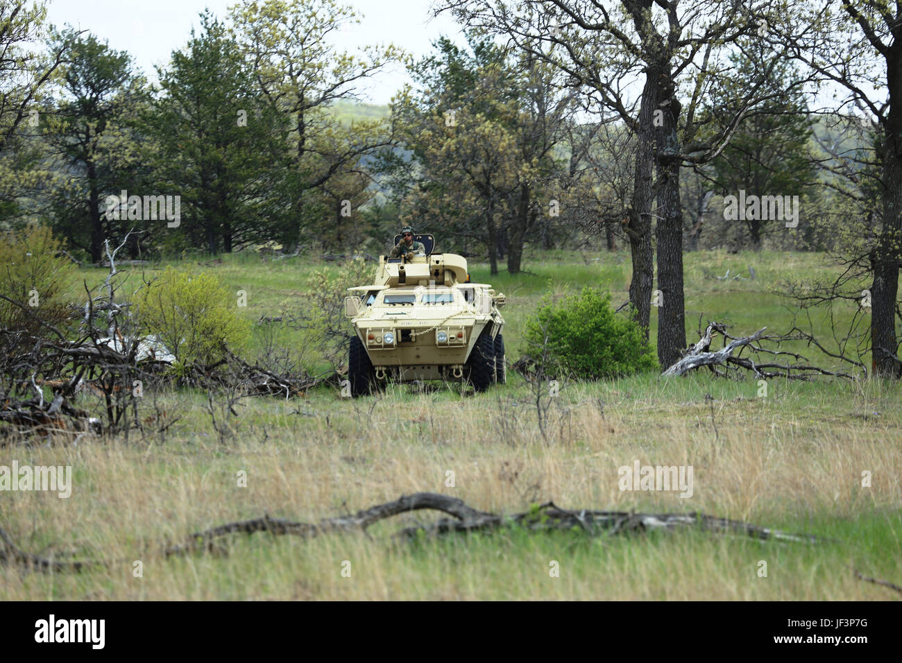 Soldiers at the installation for the 86th Training Division’s Warrior ...