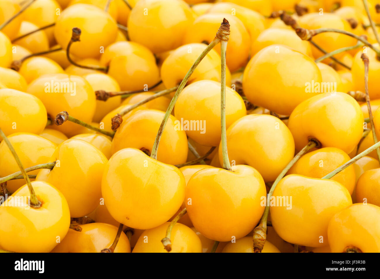 yellow cherry macro closeup Stock Photo - Alamy