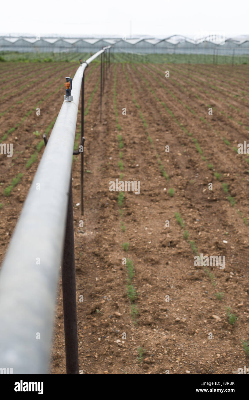 Agriculture watering tubes Stock Photo - Alamy