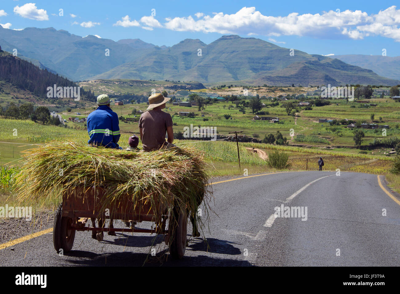 Loaded bullock cart Hlotse River Valley Leribe District Lesotho ...
