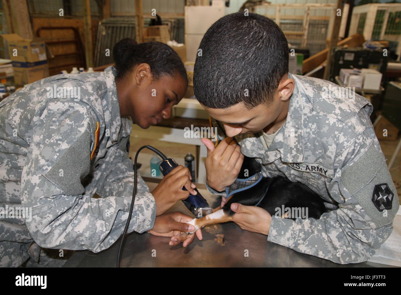 399th combat support hospital High Resolution Stock Photography and ...