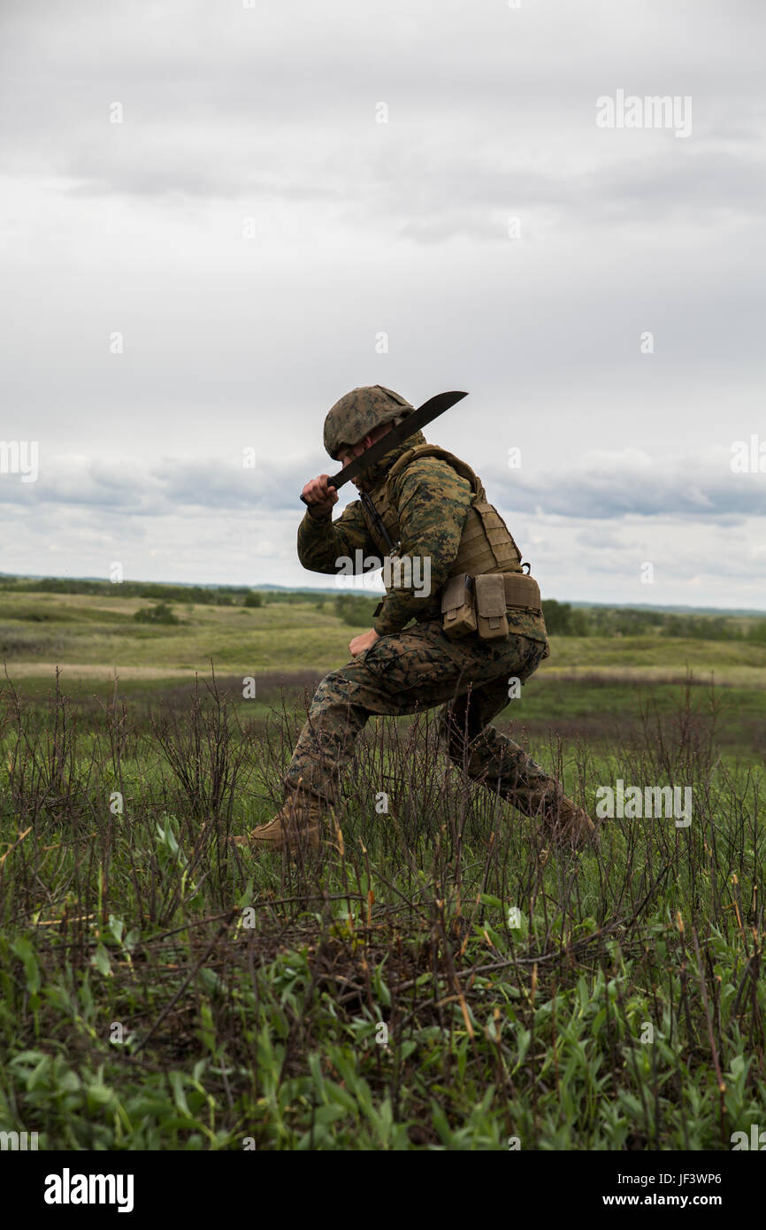 U s marines conduct field hi-res stock photography and images - Alamy