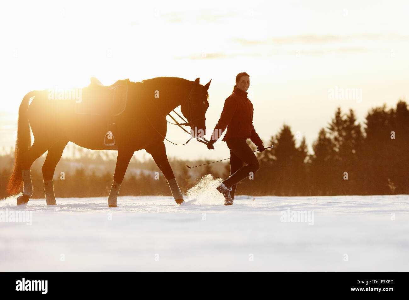 Woman walking with horse Stock Photo - Alamy