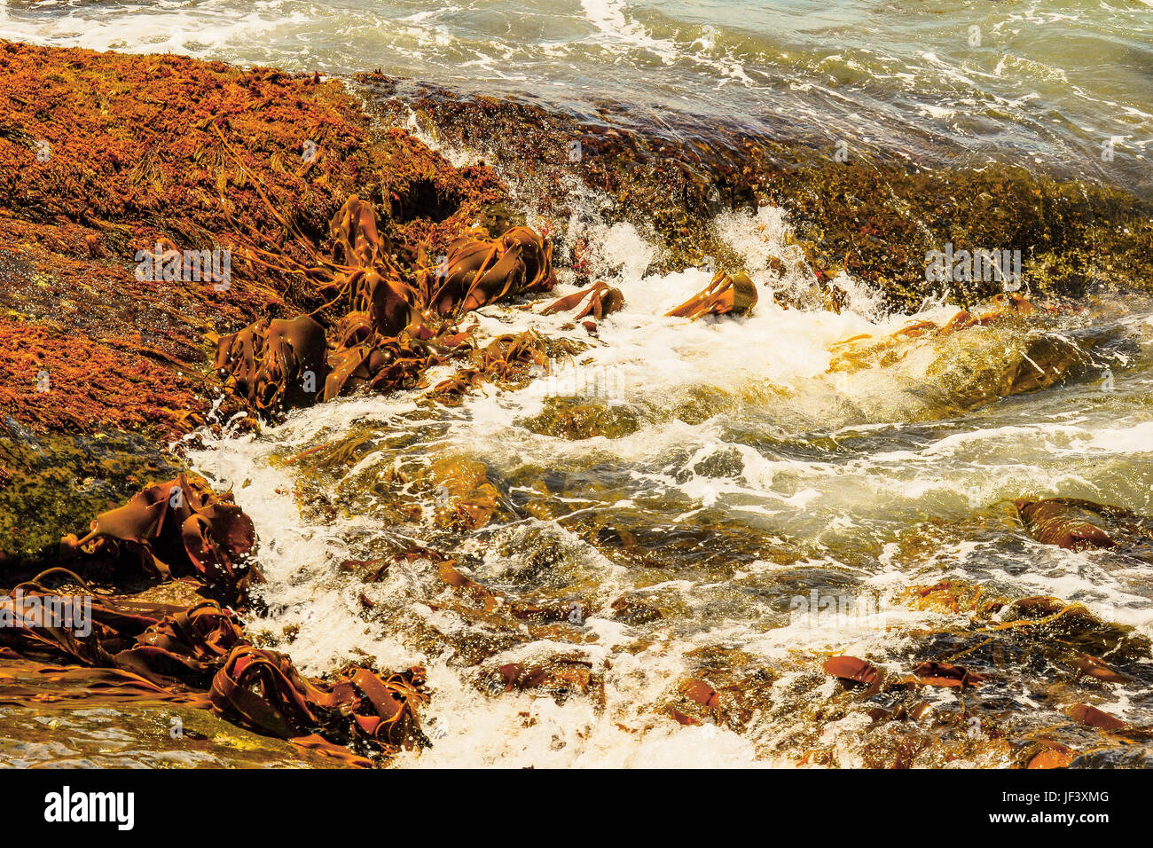 All shades of blue of the Pacific ocean. The Australian coast Stock ...