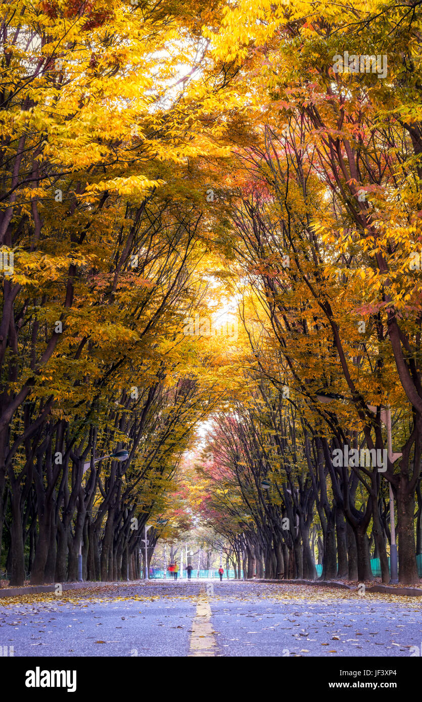 Incheon street view hi-res stock photography and images - Alamy