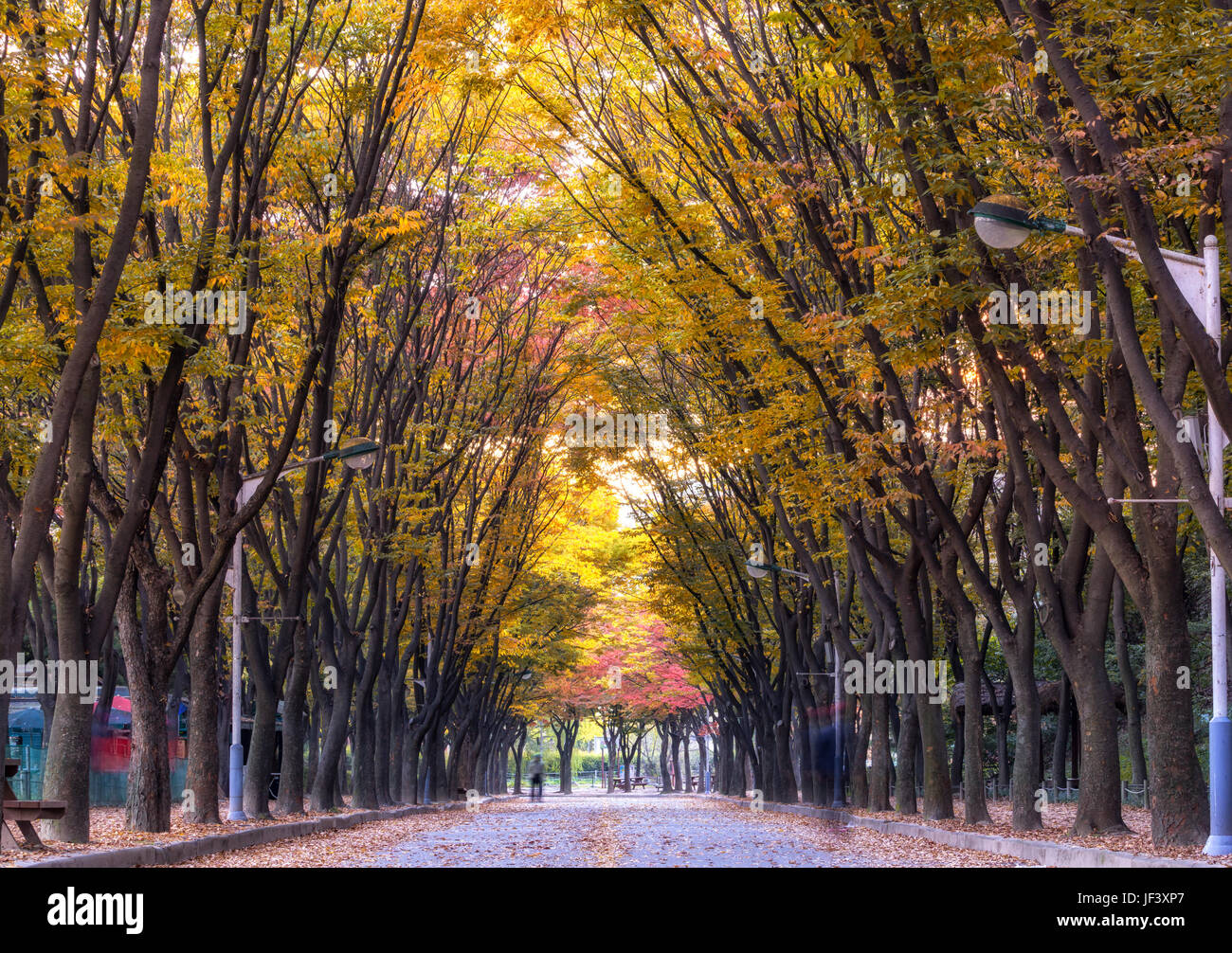 Incheon street view hi-res stock photography and images - Alamy