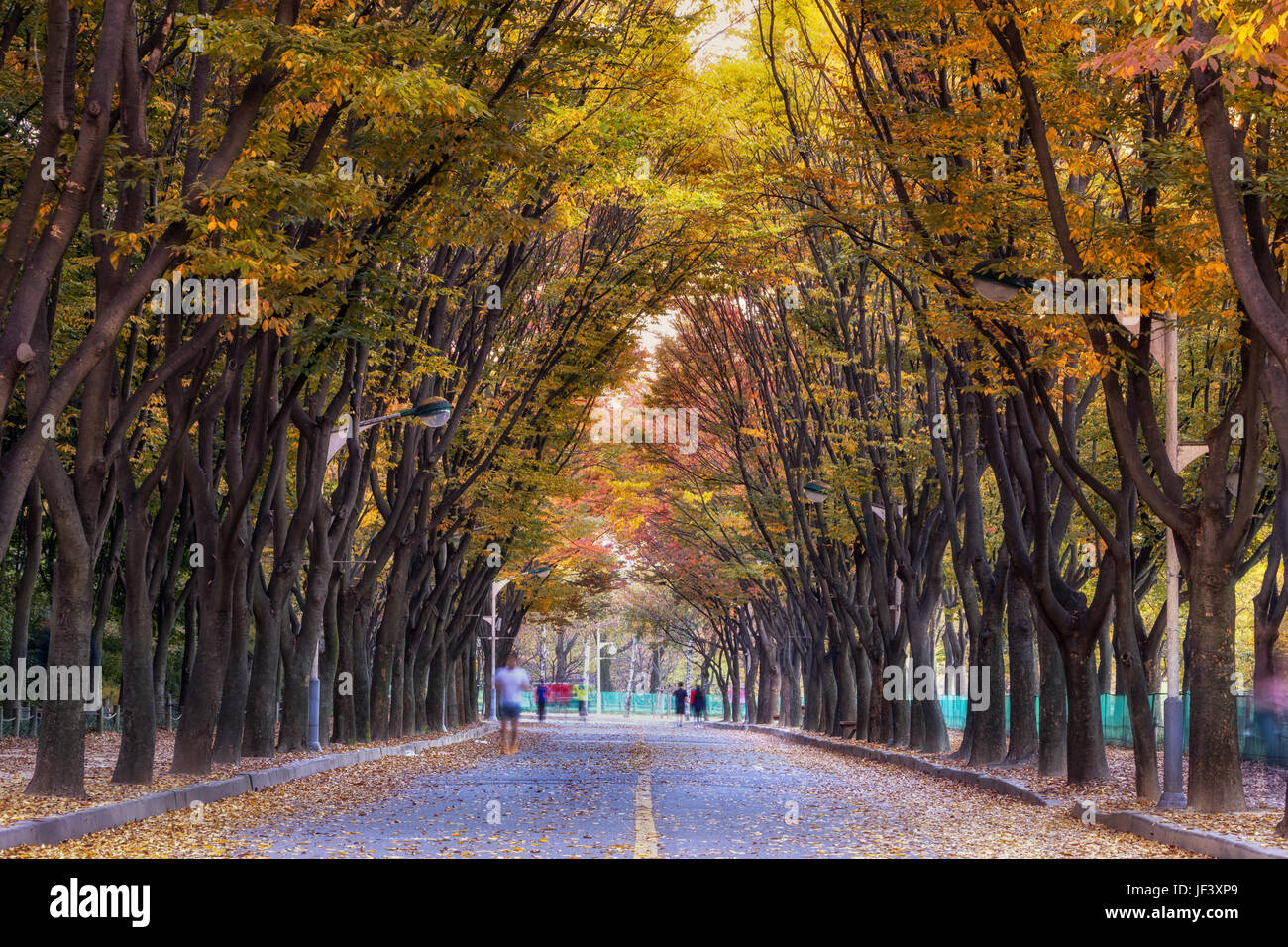 Incheon grand park during autumn Stock Photo - Alamy
