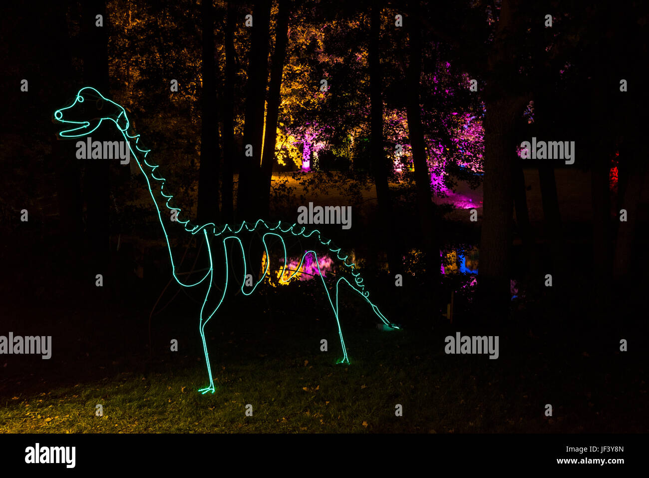 Illuminated dinosaur in forest at night Stock Photo - Alamy