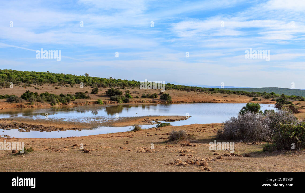 Africa safari blue skies hi-res stock photography and images - Alamy