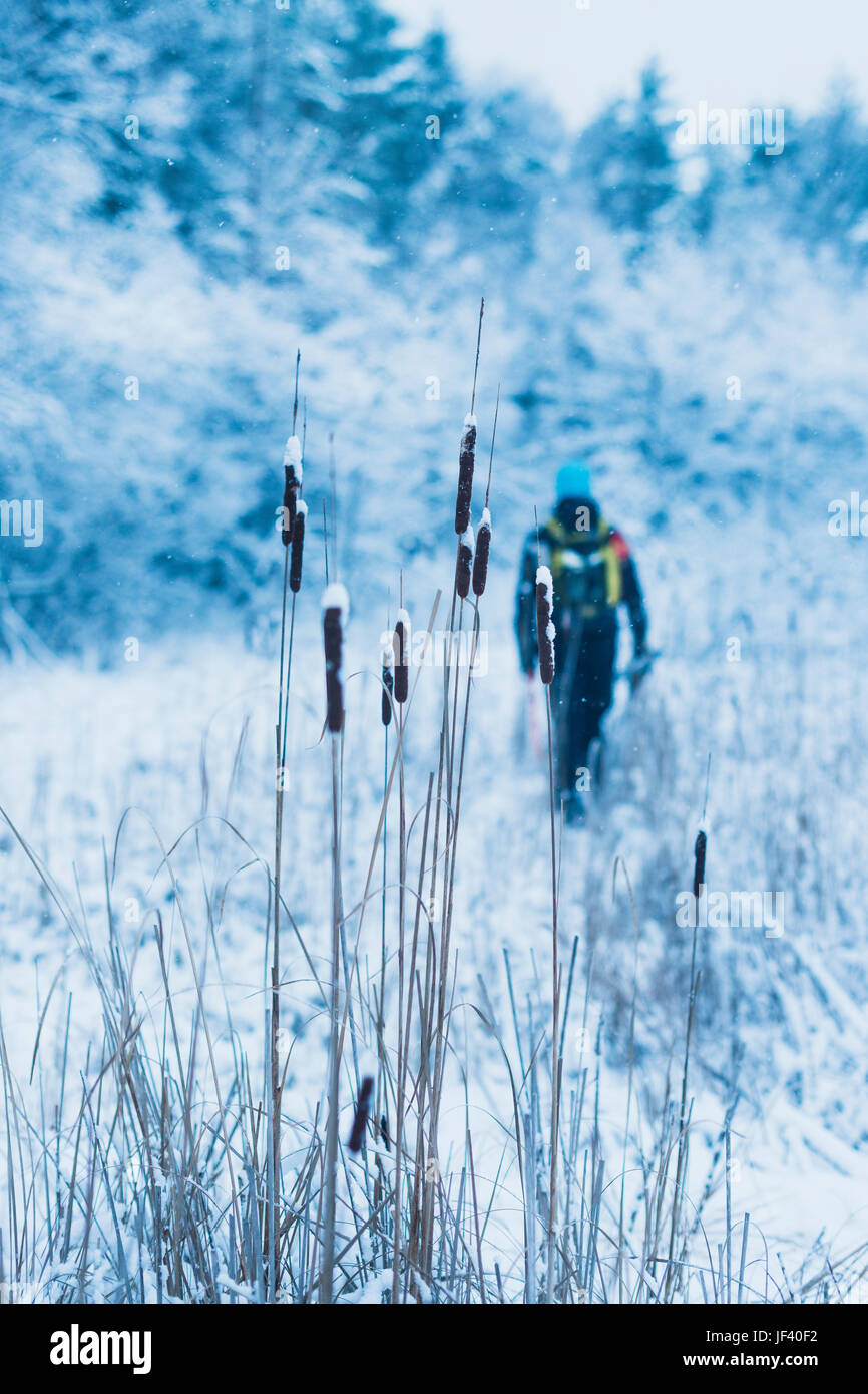 Man walking at winter Stock Photo - Alamy