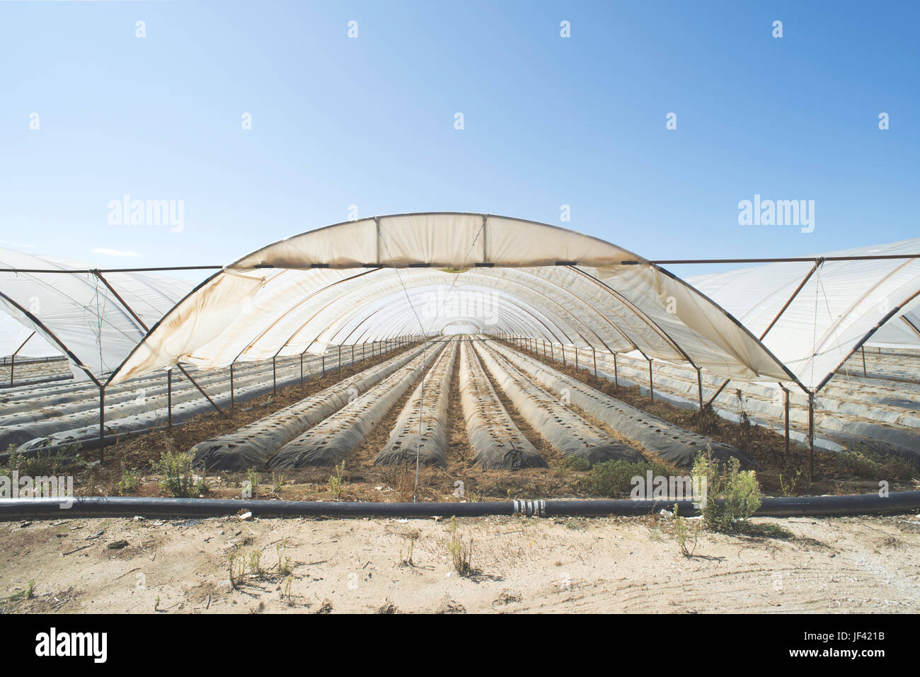 Greenhouse without plants Stock Photo - Alamy