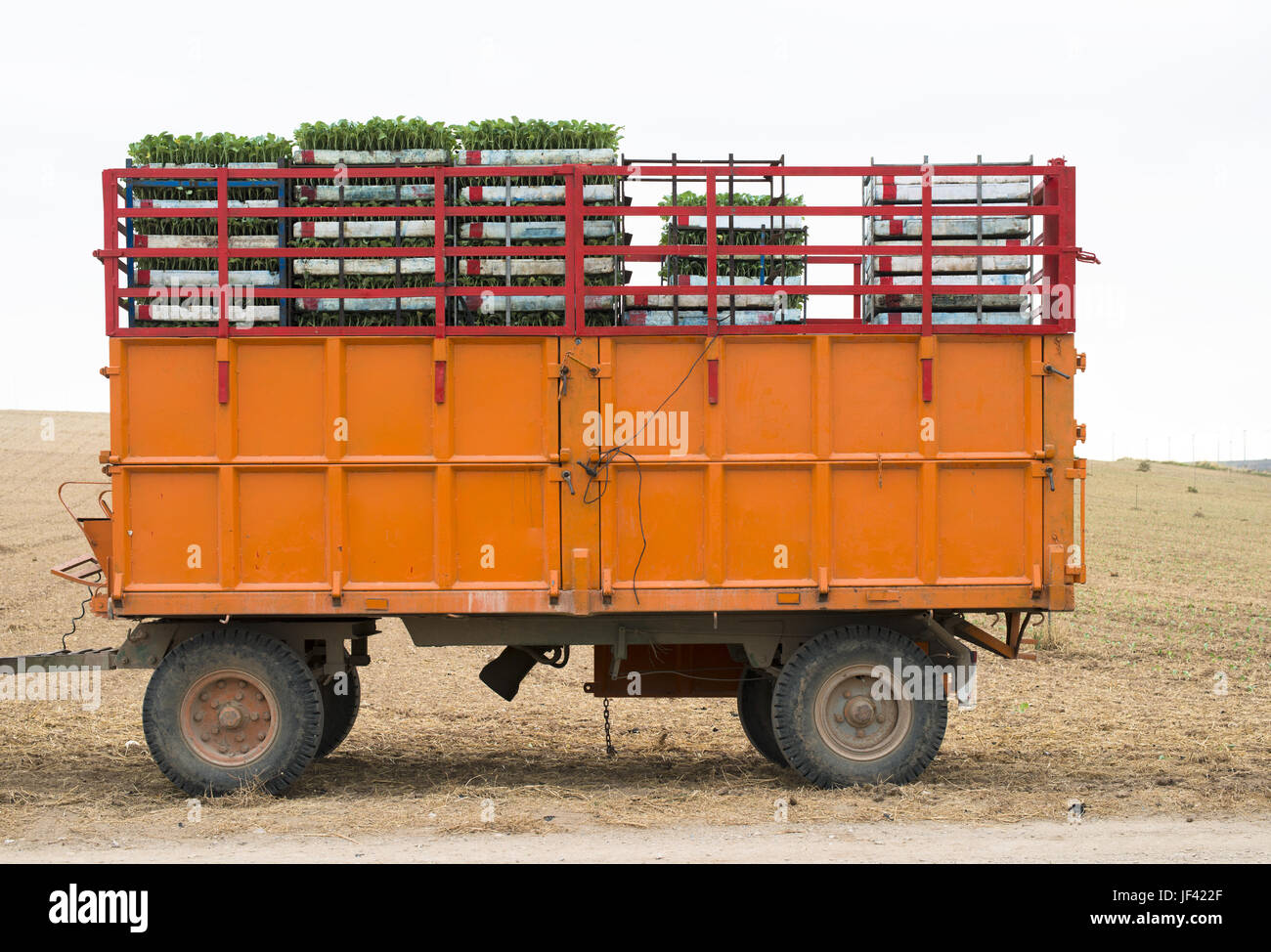 Seedlings tractor hi-res stock photography and images - Alamy