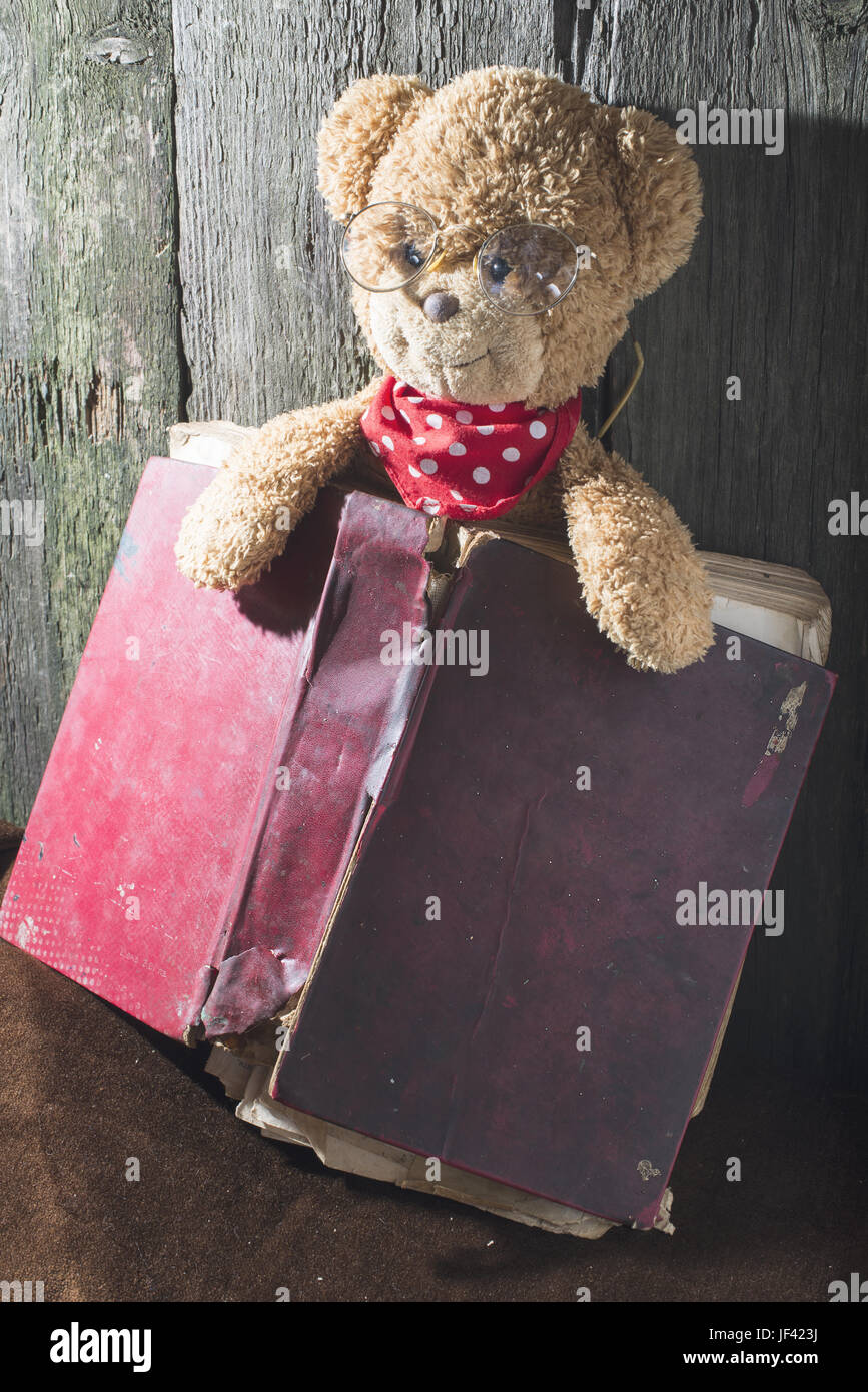Children teddy bear with book Stock Photo - Alamy
