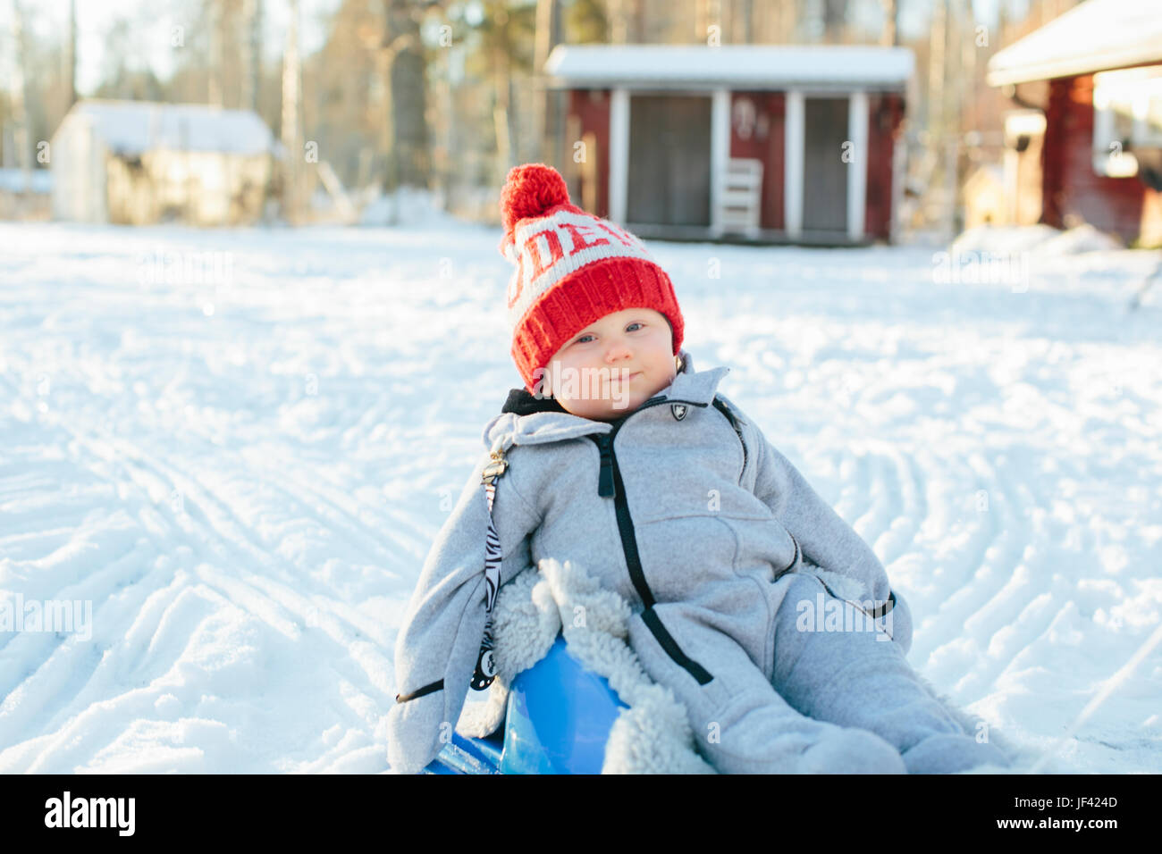 Baby on sledge Stock Photo - Alamy
