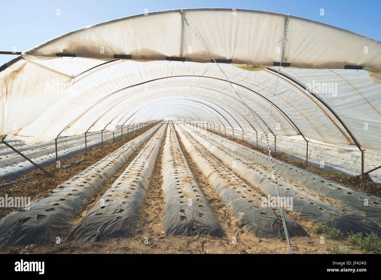 Greenhouse without plants Stock Photo - Alamy
