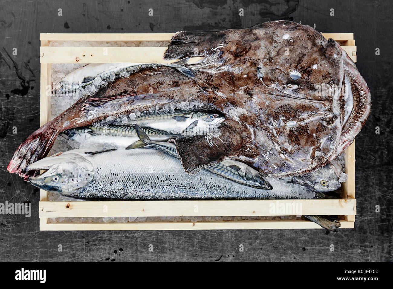 Fish in ice Stock Photo - Alamy