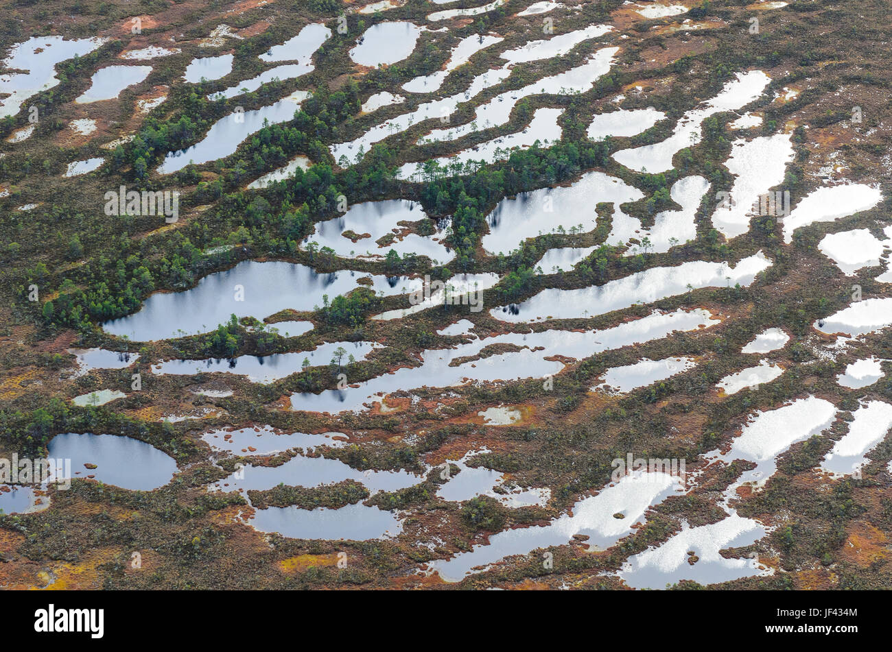 Aerial view of swamp area Stock Photo - Alamy