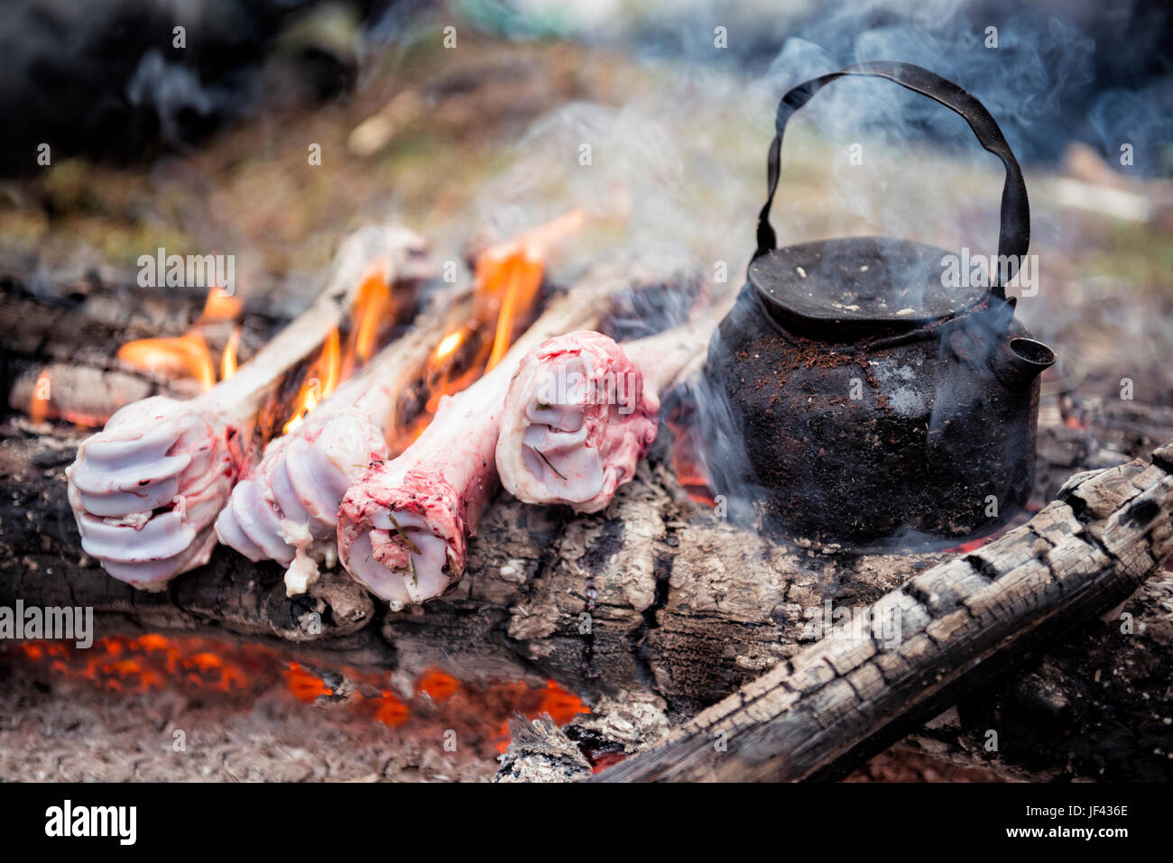 Kettle and animal bones on campfire Stock Photo - Alamy