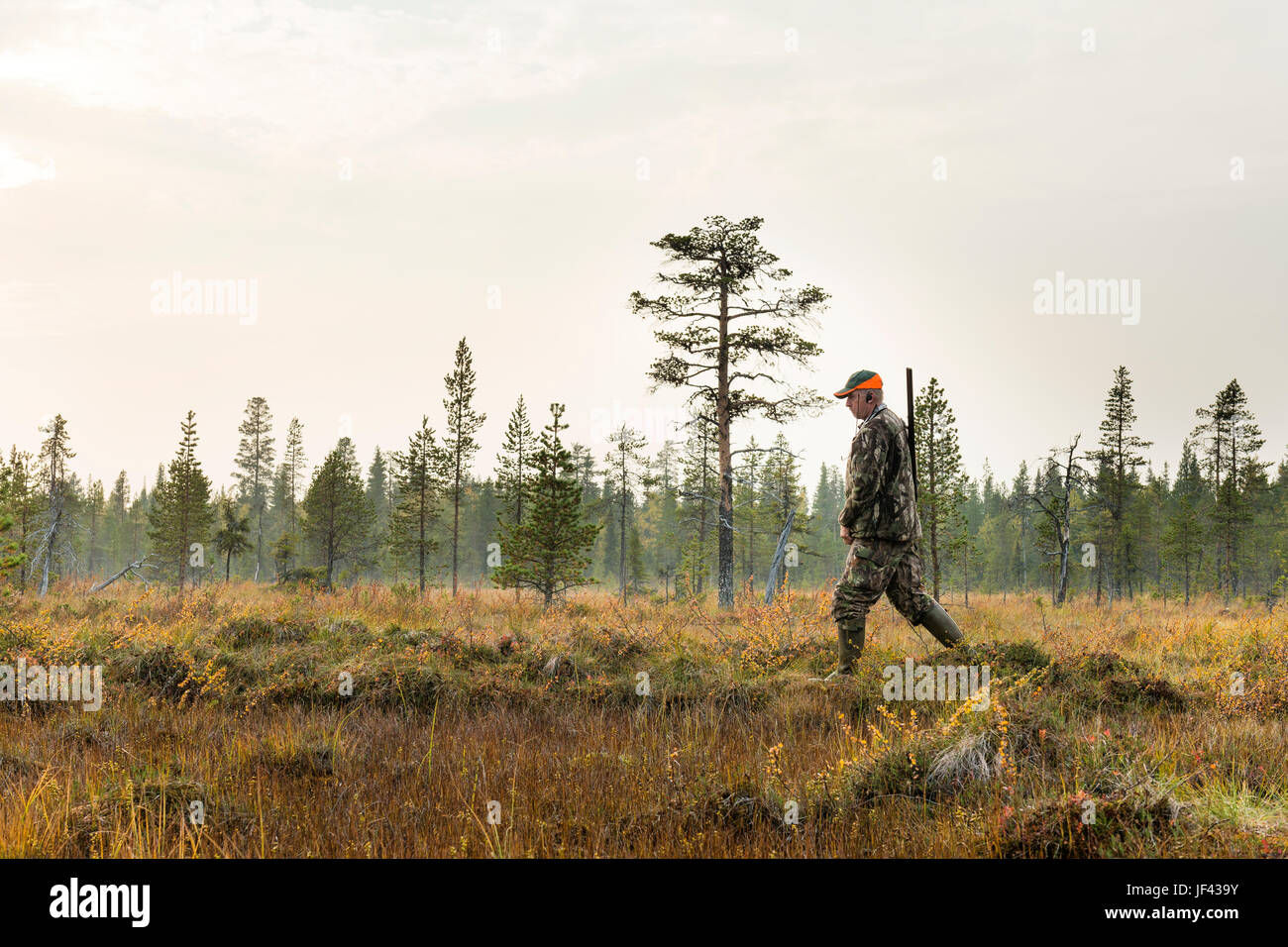 Hunter walking through meadow Stock Photo - Alamy