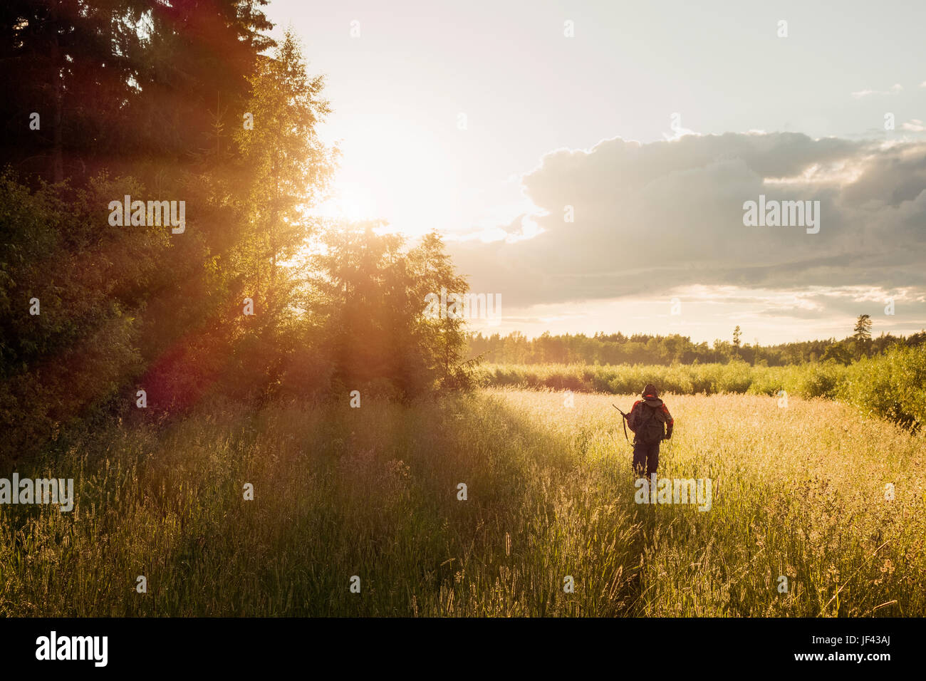 Hunter walking through meadow Stock Photo - Alamy