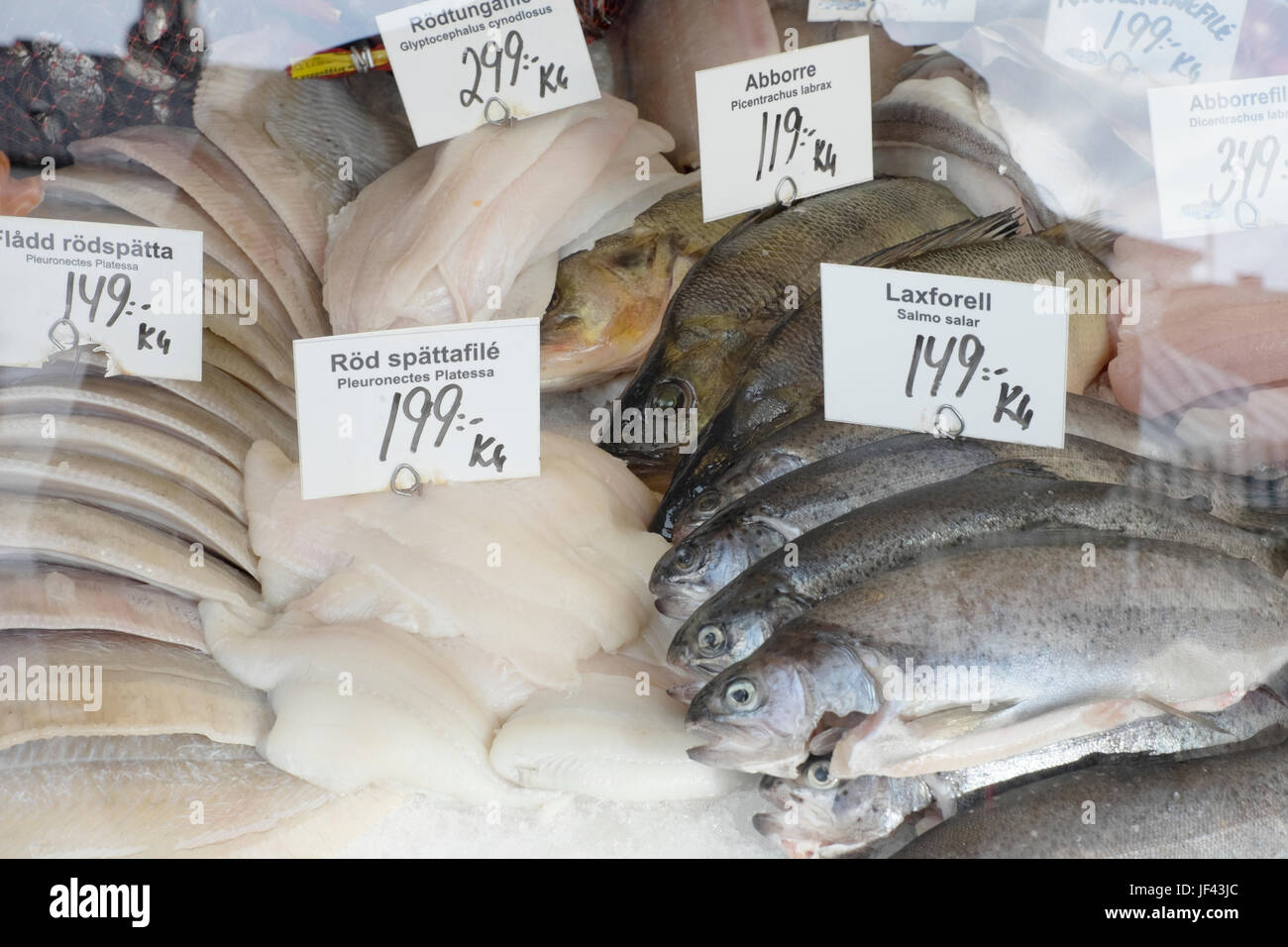 Prize fish hi-res stock photography and images - Alamy