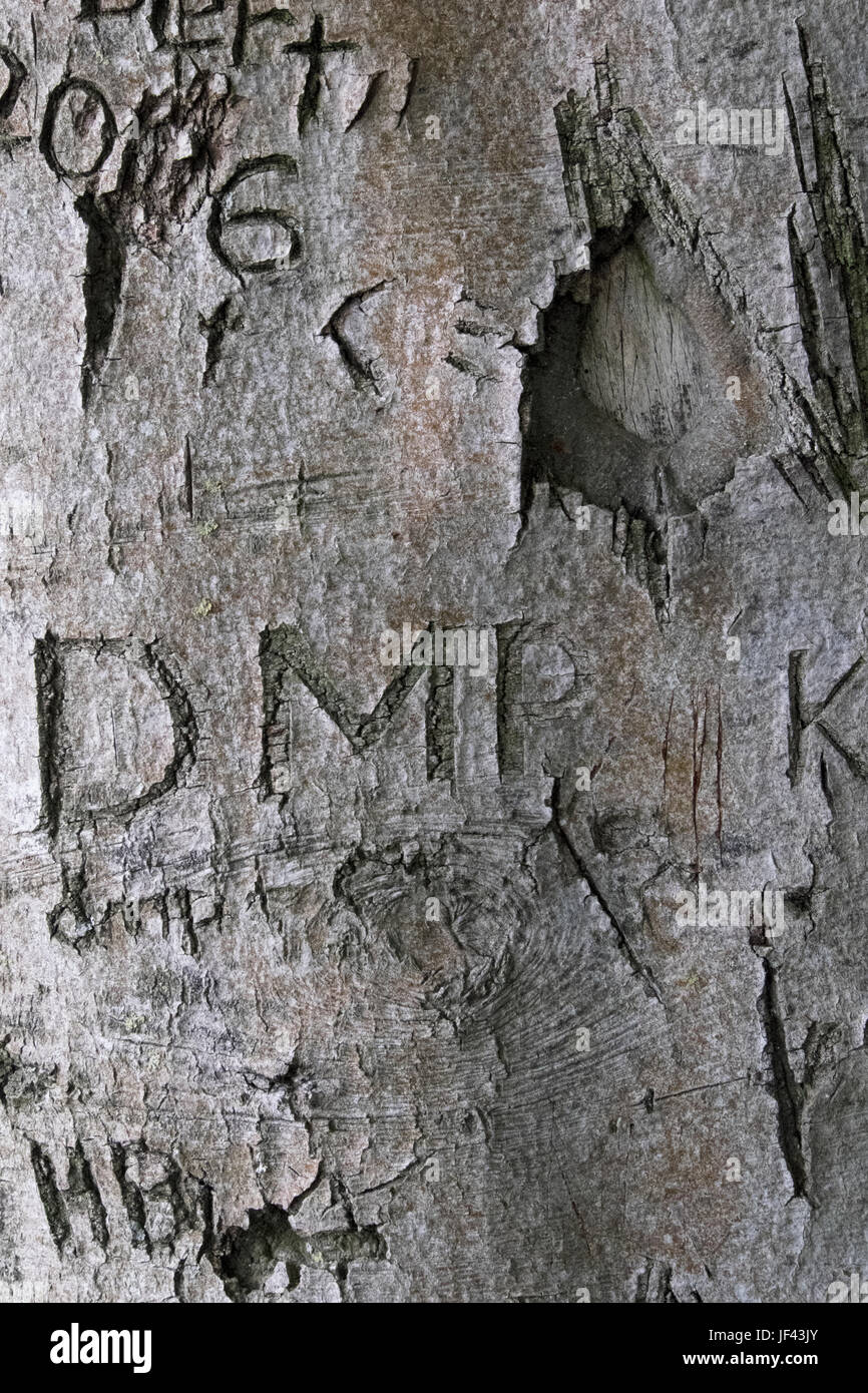 Color number no tree hi-res stock photography and images - Alamy