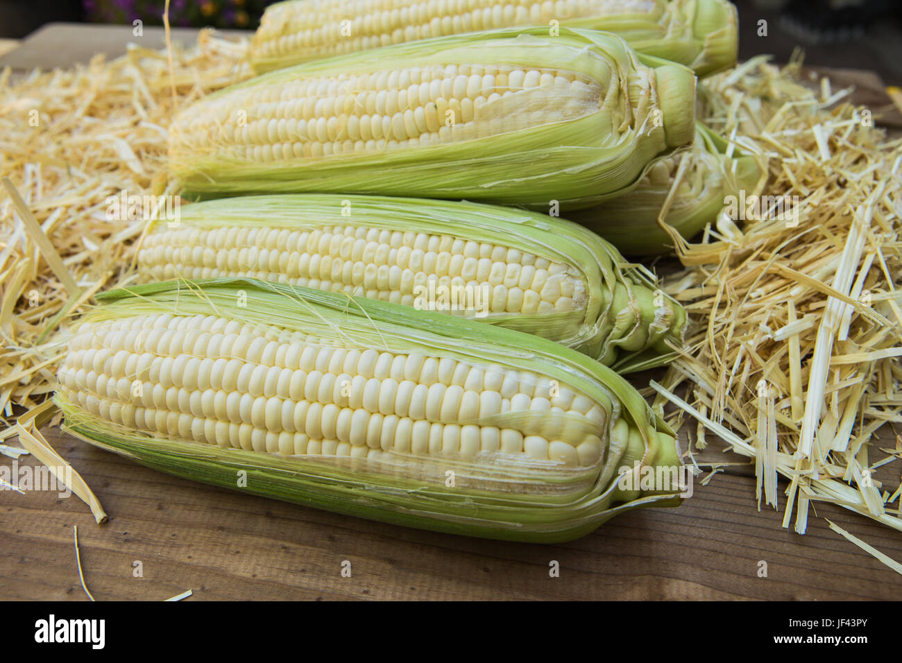 Whole corn in husk hi-res stock photography and images - Alamy