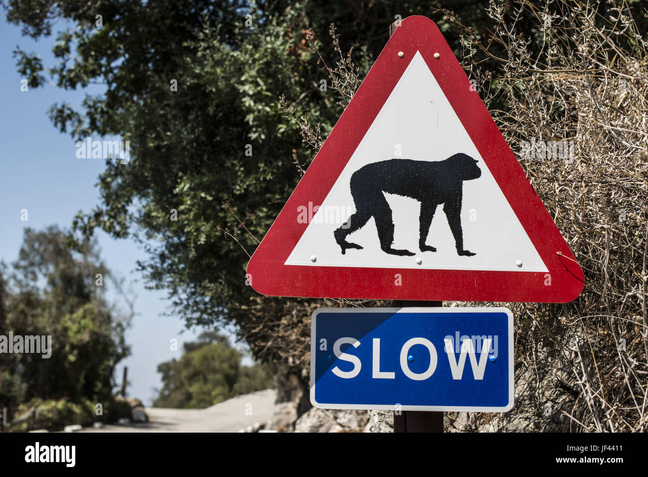 Monkey crossing sign hi-res stock photography and images - Alamy